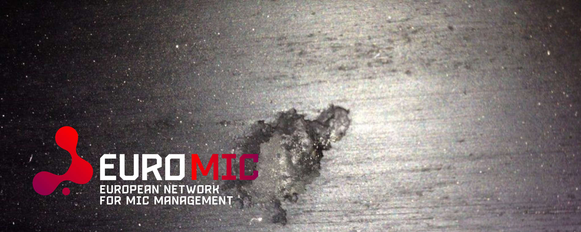 Collaborators - MIC-Learning.com